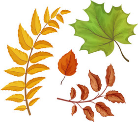 Sketch autumn leaves set Royalty Free Vector Image