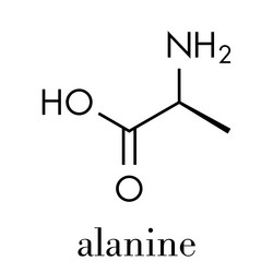 Alanine Amino Acid Vector Images (95)