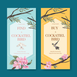 Flyer template with cockatiel bird Royalty Free Vector Image