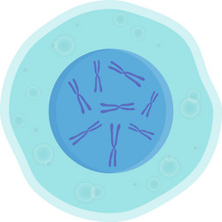 Nucleus Vector Images (over 16,000)