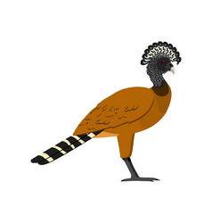 Landfowl Vector Images (42)