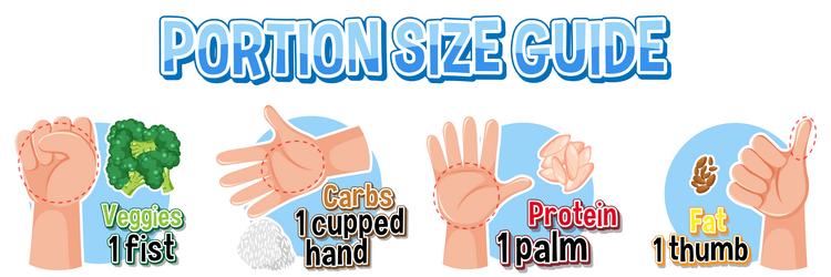 Comparing hand portion sizes for healthy eating Vector Image
