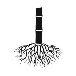 Palm Sugar Vector Images (over 820)