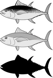 Tuna Vector Images (over 28,000)