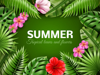 Aloha hawaii card design with tropical palm leaves