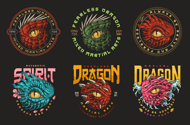 Dragon fight club set flyer Royalty Free Vector Image