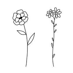 Hand drawn wildflowers set outline flower Vector Image