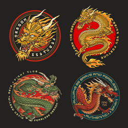 Mma dragon set flyer colorful Royalty Free Vector Image