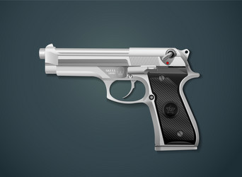 Guns and ammunition Royalty Free Vector Image - VectorStock