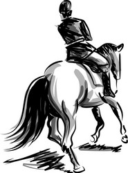 Horse Rider Sketch Vector Images (over 920)