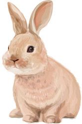 Rabbit Vector Images (over 200,000)