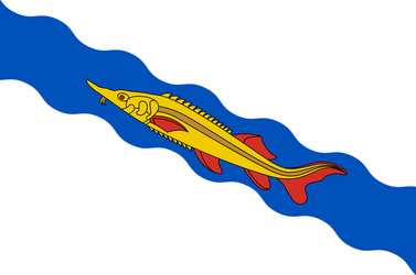 Flag sochi russia Royalty Free Vector Image - VectorStock