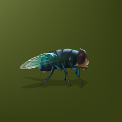 Mosquito side Royalty Free Vector Image - VectorStock