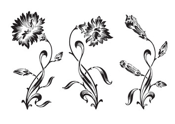 Engraving Scroll Vector Images (over 5,300)