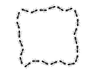 Black ants square border forming rectangular Vector Image