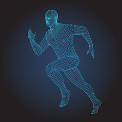 3d wireframe human body Royalty Free Vector Image