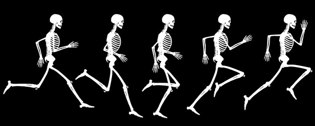 Running cycle human skeleton drawing Royalty Free Vector