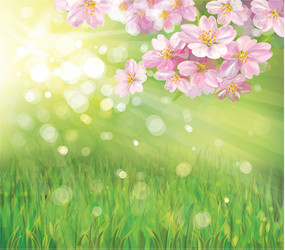 Spring Tree Vector Images (over 200,000)