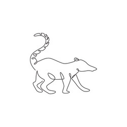 One continuous line drawing of cute coati Vector Image