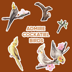 Sticker template with cockatiel bird Royalty Free Vector