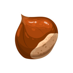 Chestnut autumn brown set cartoon Royalty Free Vector Image
