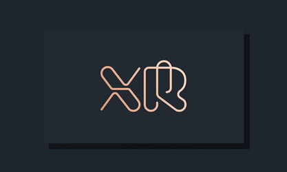 Initial letters xr monogram logo design bundle Vector Image