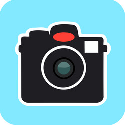 Minimalistic and iconic camera icon Royalty Free Vector