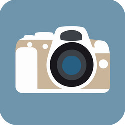 Minimalistic and iconic camera icon Royalty Free Vector