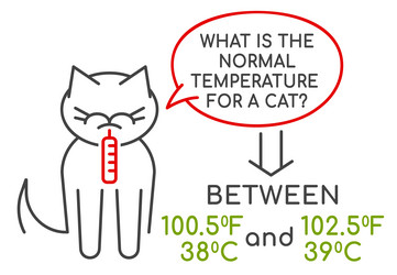 Normal temperature for a cat medical Royalty Free Vector