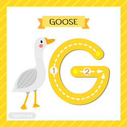 Goose Flashcard Vector Images (33)