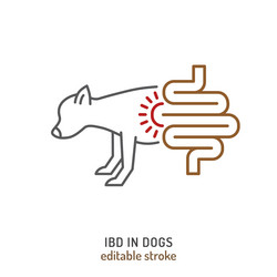 Ibd in dogs linear icon pictogram symbol Vector Image