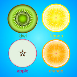 Realistic fresh fruit cut into slices Royalty Free Vector