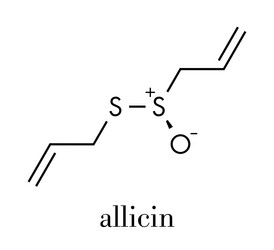 Alliin garlic molecule skeletal formula Royalty Free Vector