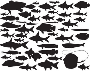 Fish Outlines Vector Images (over 89,000)