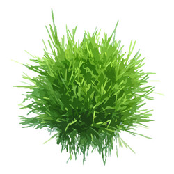Background texture of fresh green grass Royalty Free Vector
