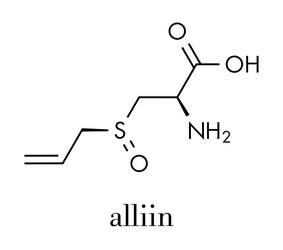 Alliin garlic molecule skeletal formula Royalty Free Vector