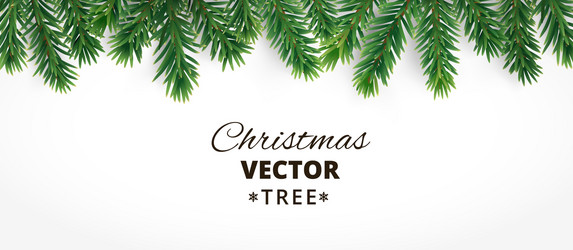 Xmas seamless green border horizontal banner Vector Image