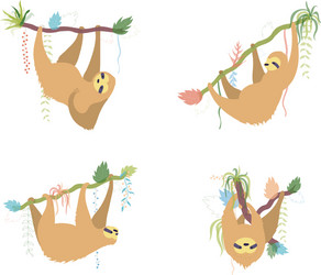 Sloth Vector Images (over 8,200)