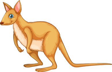 Wallaby Cartoon Vector Images (over 1,500)