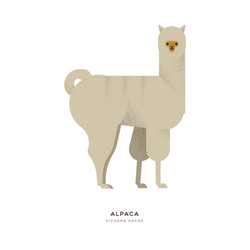 Two cute alpacas with lettering isolated Vector Image