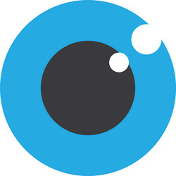 Eye camera logo icon design Royalty Free Vector Image