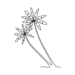 Palm tree line art palm tropical palm Royalty Free Vector