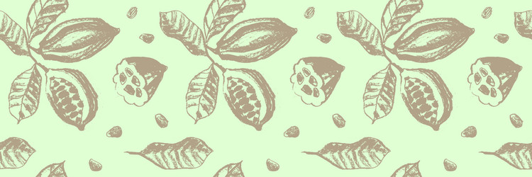 Cocoa beans pattern with cacao symbols Royalty Free Vector