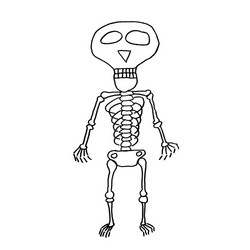 Funny Skeleton Vector Images (over 9,700)