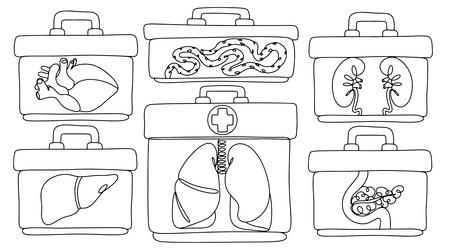 Line Drawing Body Organs Vector Images (over 3,400)
