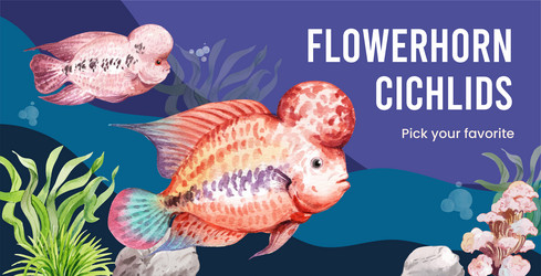 Cichlid Vector Images (over 620)