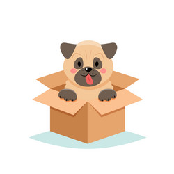 Sad stray dog cute in a cardboard box Royalty Free Vector