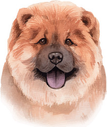 Chow Chows Vector Images (over 1,200)