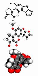 Mycotoxin Vector Images (59)