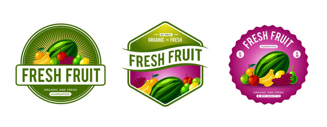 Fruit logo design Royalty Free Vector Image - VectorStock